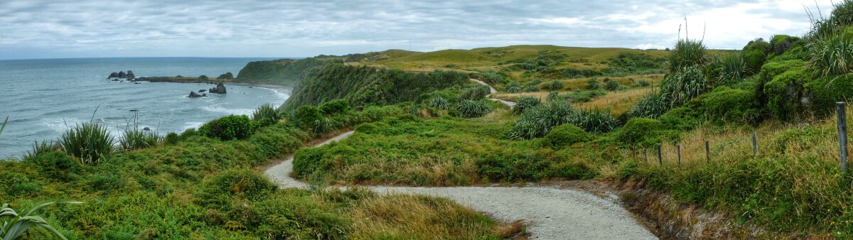Why go guided | Hiking New Zealand (HikingNZ)
