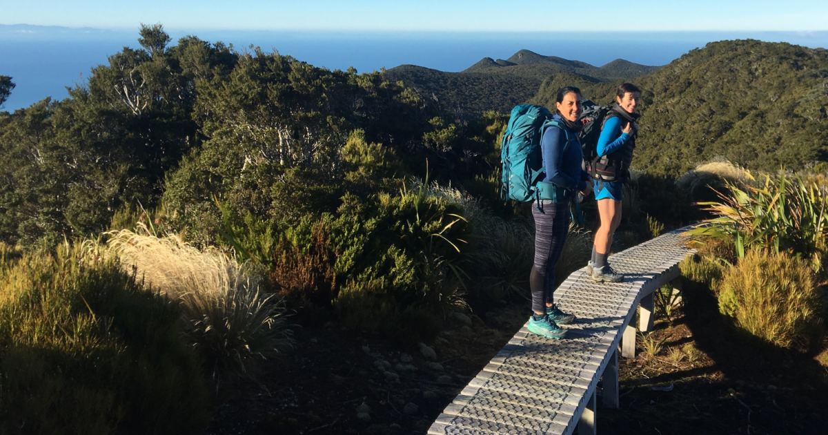 Discover the Magic of Female-Only Hiking Adventures in New Zealand ...