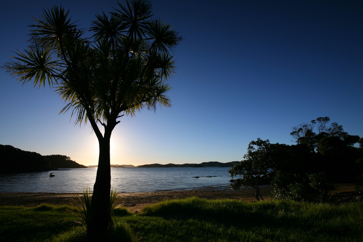 Inspirational Travel and Walking Quotes | Hiking NZ