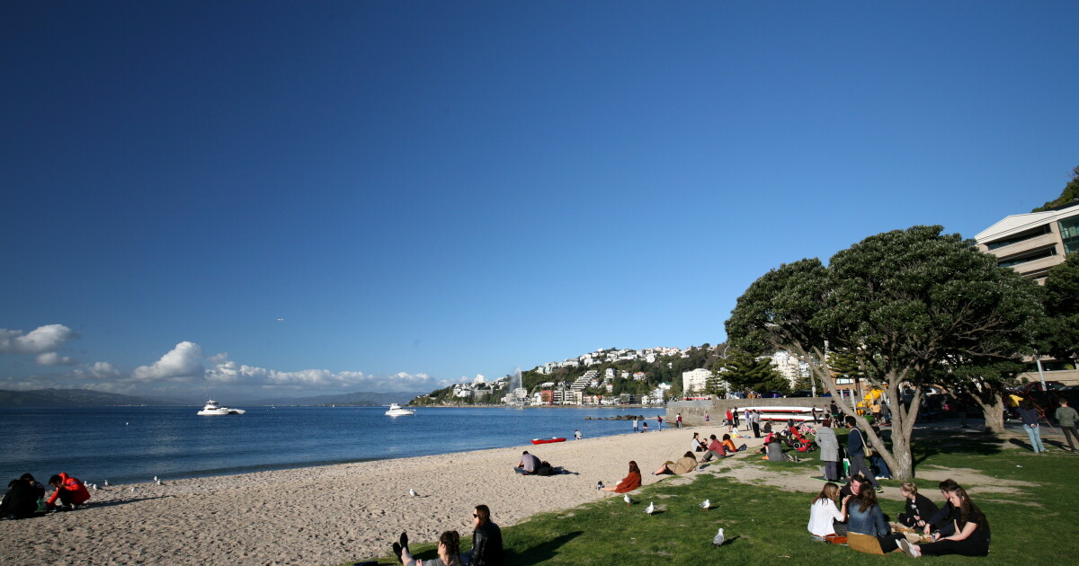 Things to do in Wellington | Hiking New Zealand (HikingNZ)