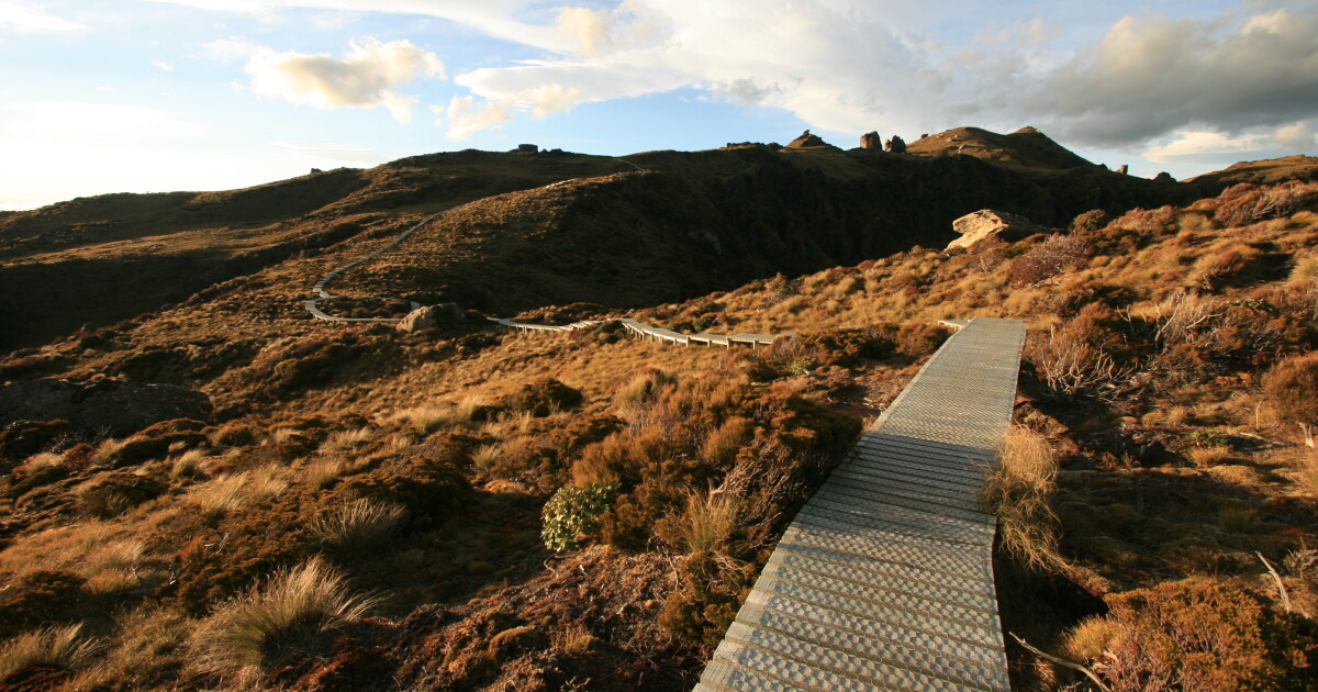 Walking the Hump Ridge Track | Hiking New Zealand (HikingNZ)