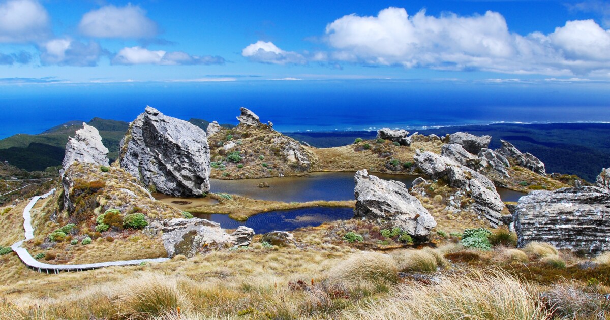 Hump Ridge Track Overview | Hiking New Zealand