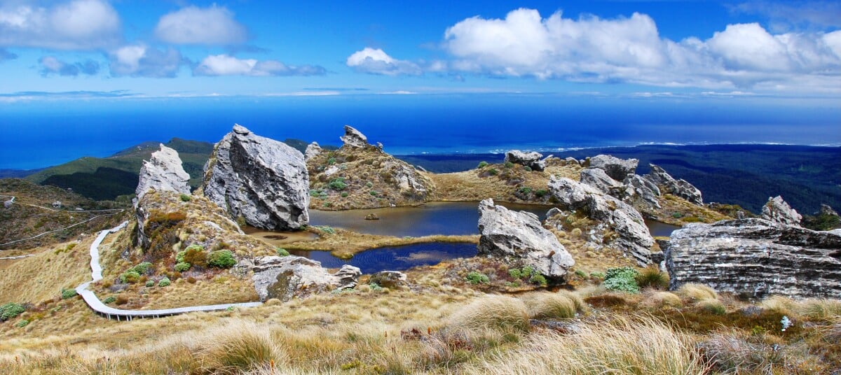 Hump Ridge Track Details | Hiking New Zealand