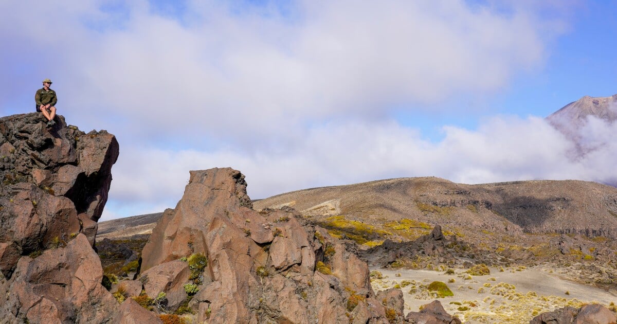 Meet our Guide: Louis Davidson | Hiking New Zealand (HikingNZ)