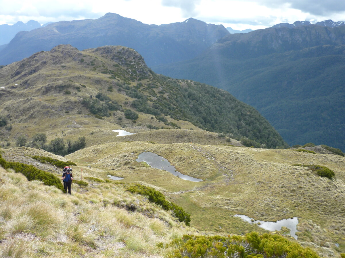 Moose hunting in young man's country | Hiking NZ