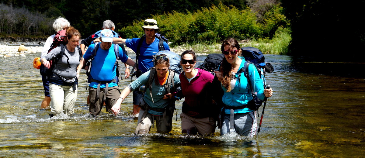 West Coast Custom Tour Photos | Hiking New Zealand