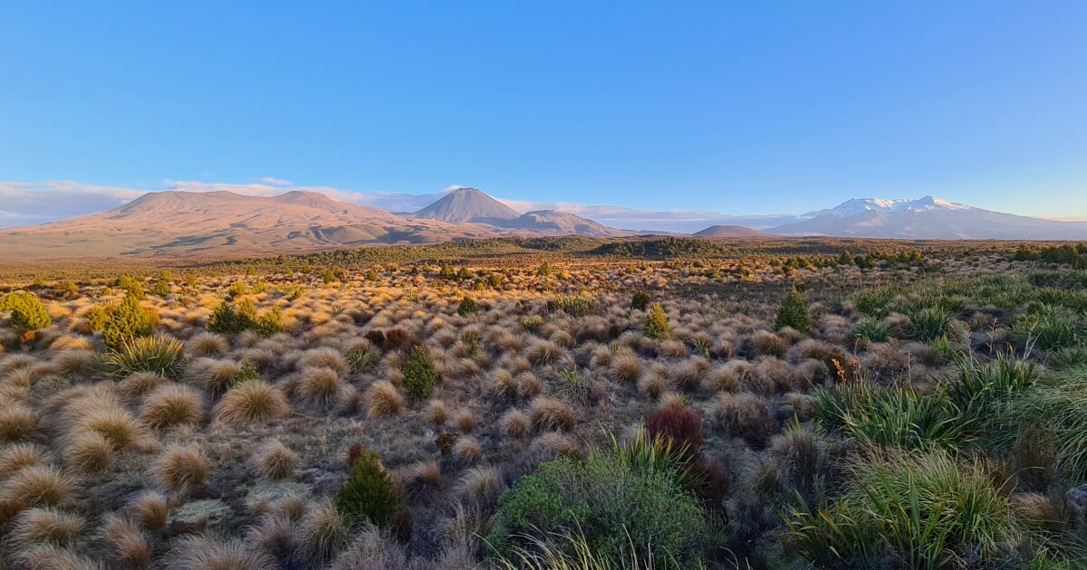 Custom Groups | Hiking New Zealand (HikingNZ)