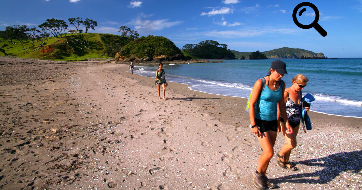 Coastal Wanderer Custom Tour Details | Hiking New Zealand (HikingNZ)