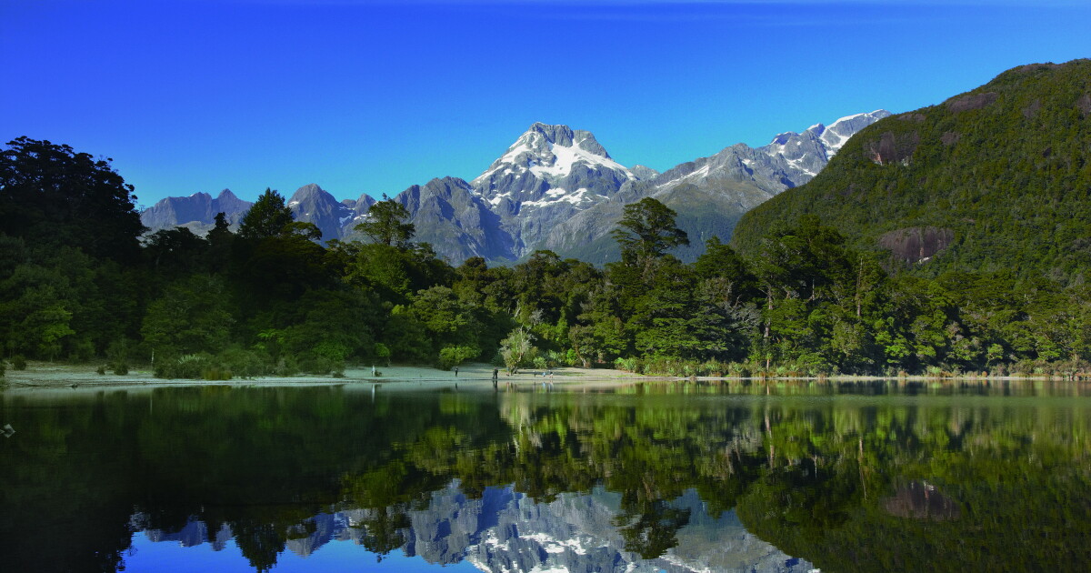 Hollyford Track Photos | Hiking New Zealand