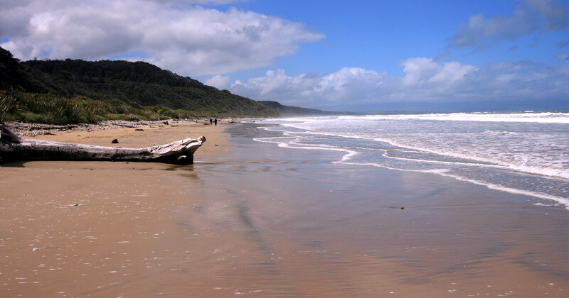 Walking these wild southern beaches is a glimpse into a world before ...