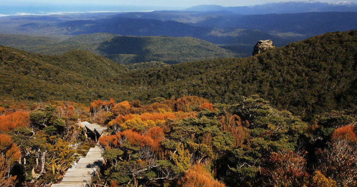 Hump Ridge Track Photos | Hiking New Zealand