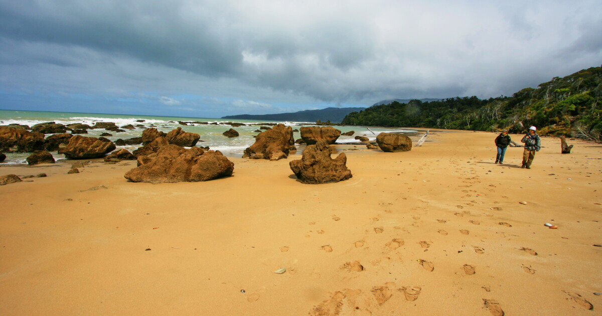 Hump Ridge Track Prime Overview | Hiking New Zealand (HikingNZ)