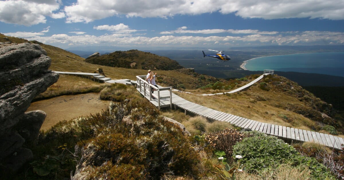 Hump Ridge Track Photos | Hiking New Zealand