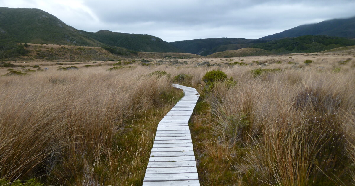At 82 km, the Heaphy Track is New Zealand's longest Great Walk ...