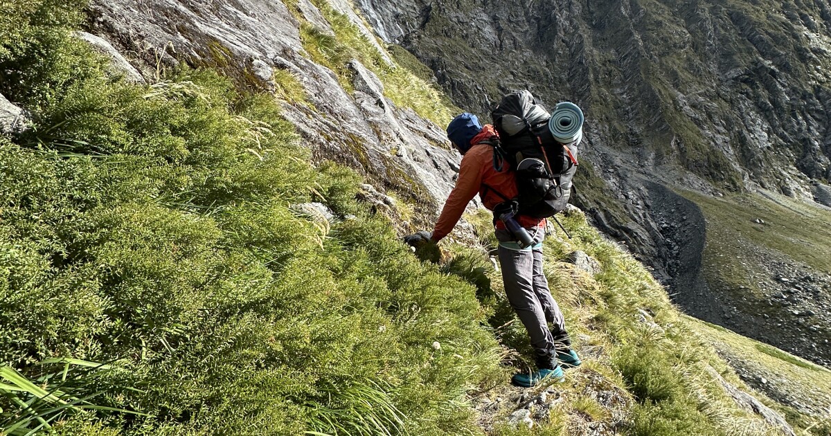 Rabbit Pass Alpine Trek Photos | Hiking New Zealand (HikingNZ)