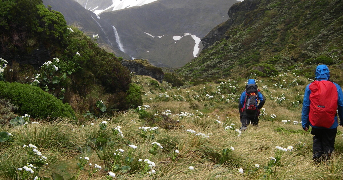 Waterfalls on Rabbit Pass | Hiking New Zealand (HikingNZ)