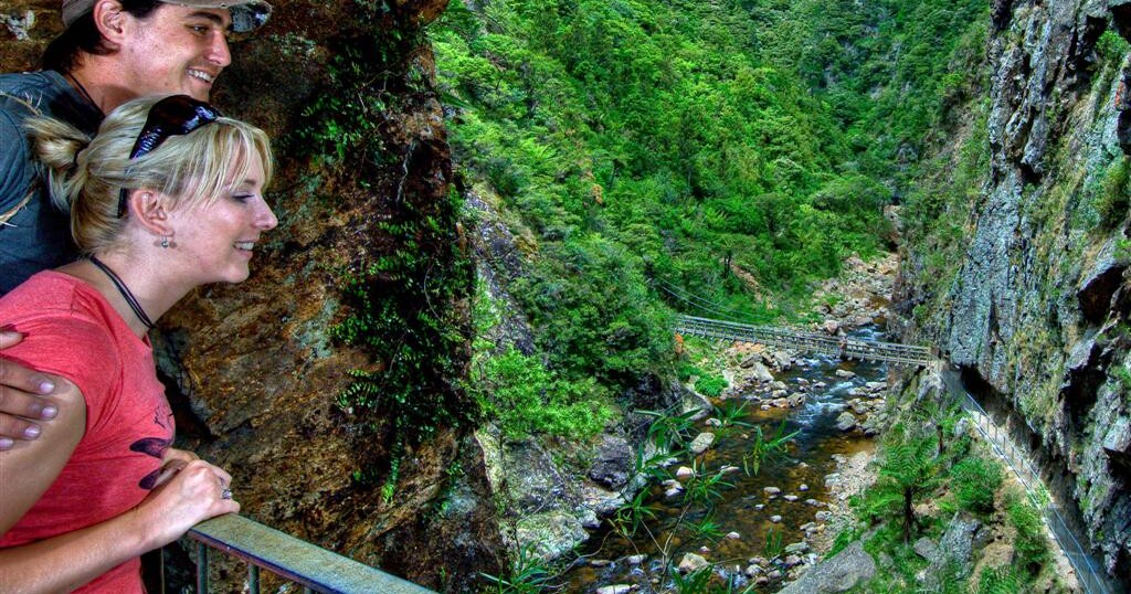 Coromandel Explorer Photos | Hiking New Zealand