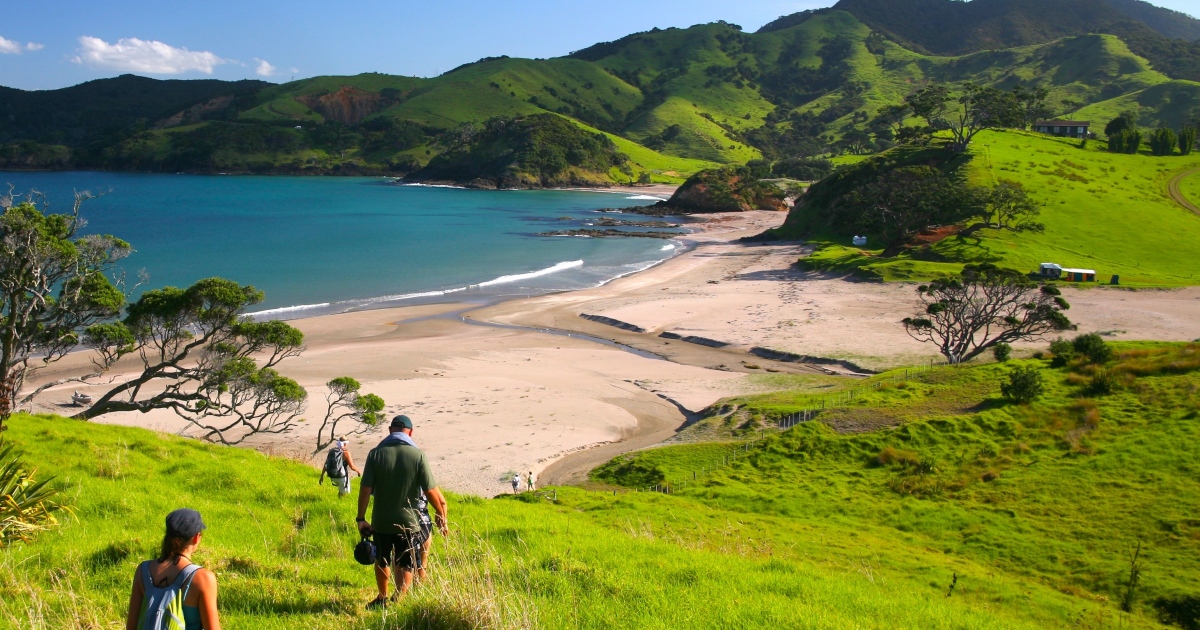 Northland Discovery Guided Walks |Hiking New Zealand Northland Discovery Guided Walks |Hiking New Zealand