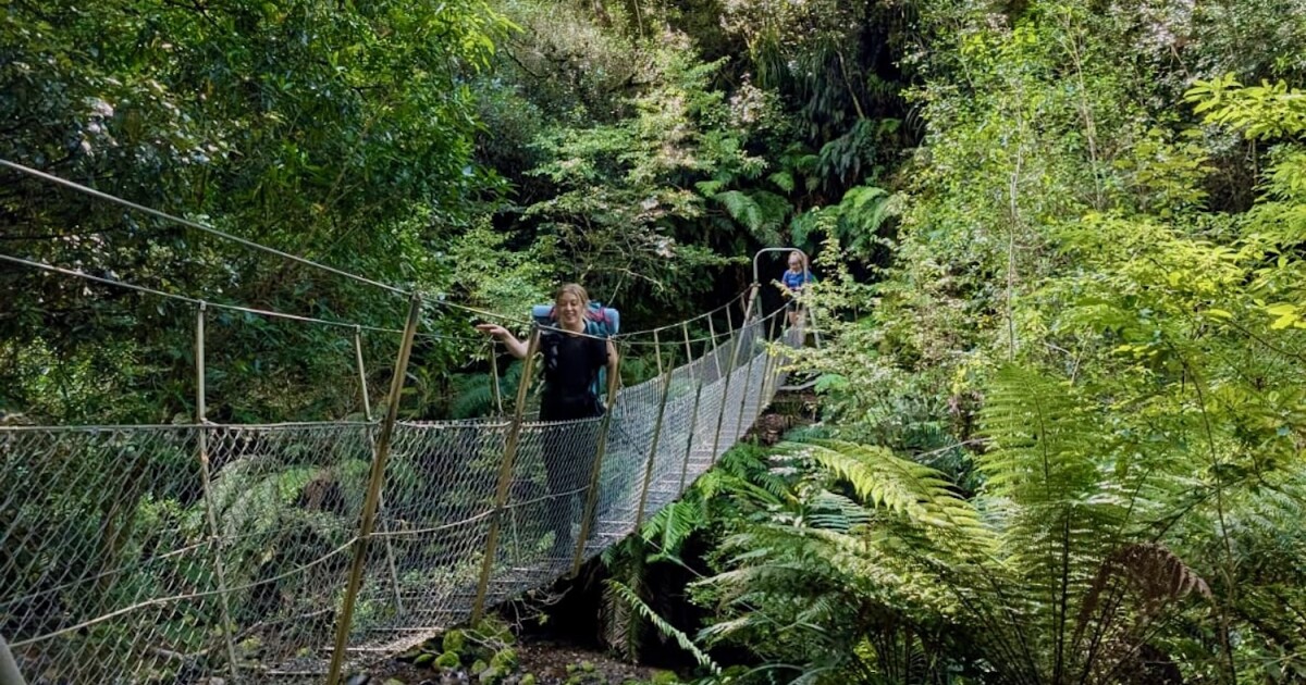 Experience the primordial, original rainforests. | Hiking New Zealand